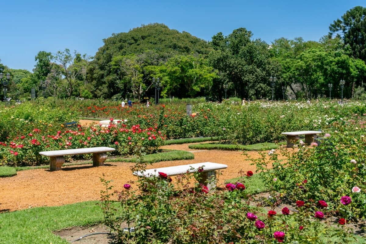 30 Best Rose Gardens in the World You Have To Visit - Petal Republic