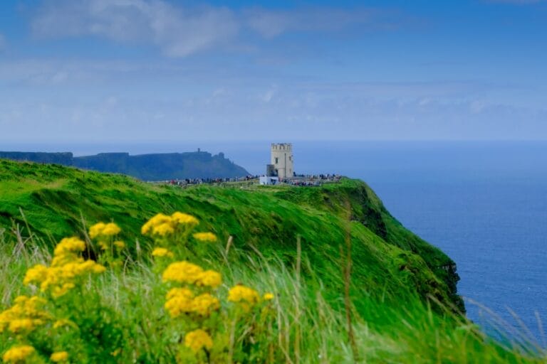 17 Beautiful Wildflower Meadows You Have To Visit - Petal Republic