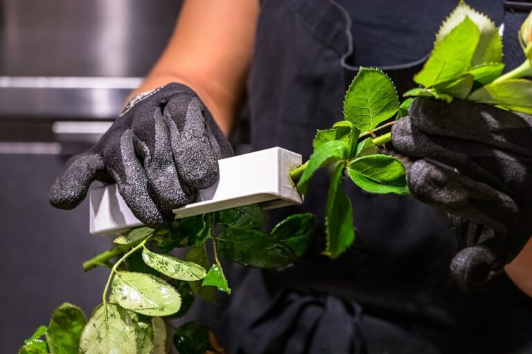 Essential Floral Design Tools - Petal Republic