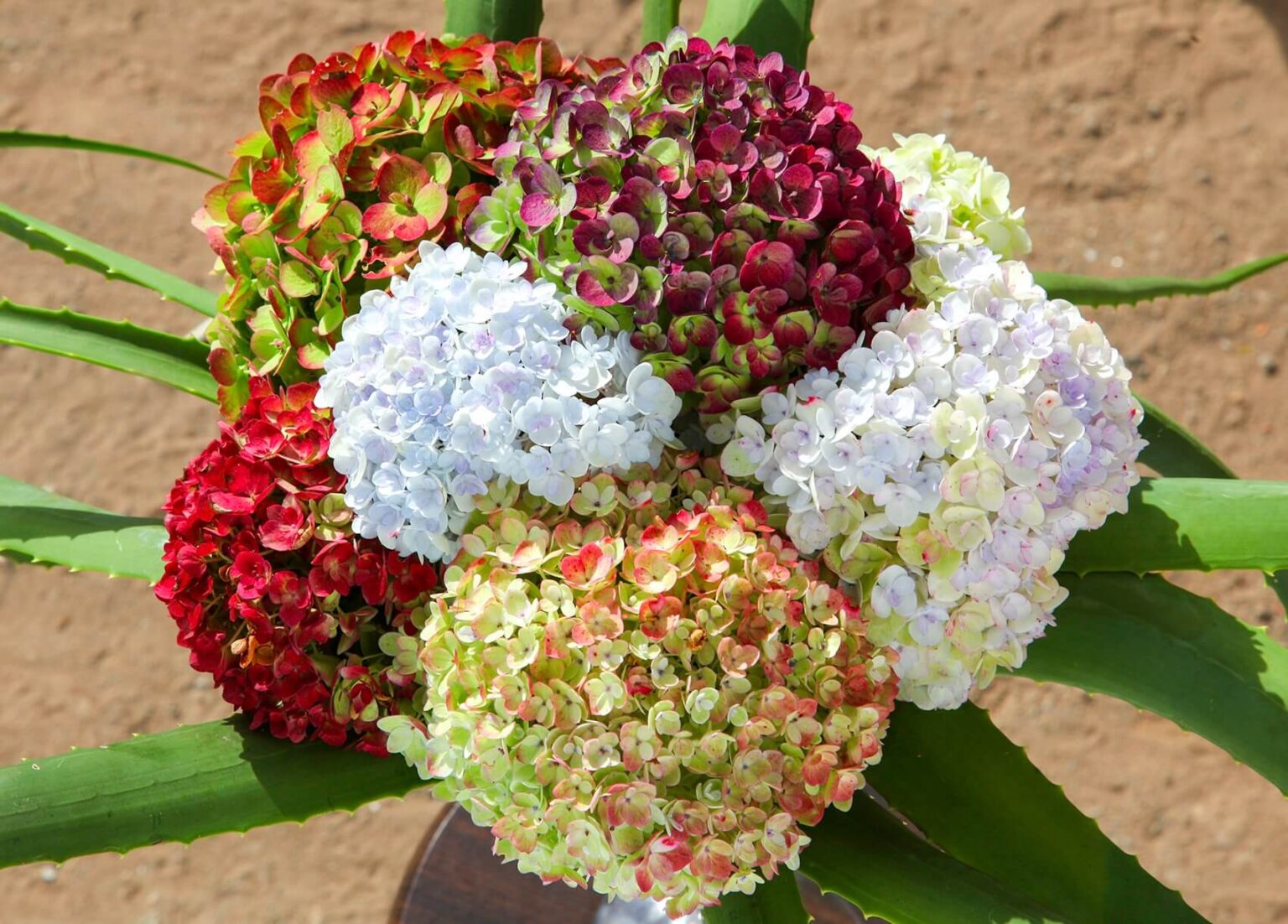 8 Essential Elements of Floral Design - Petal Republic