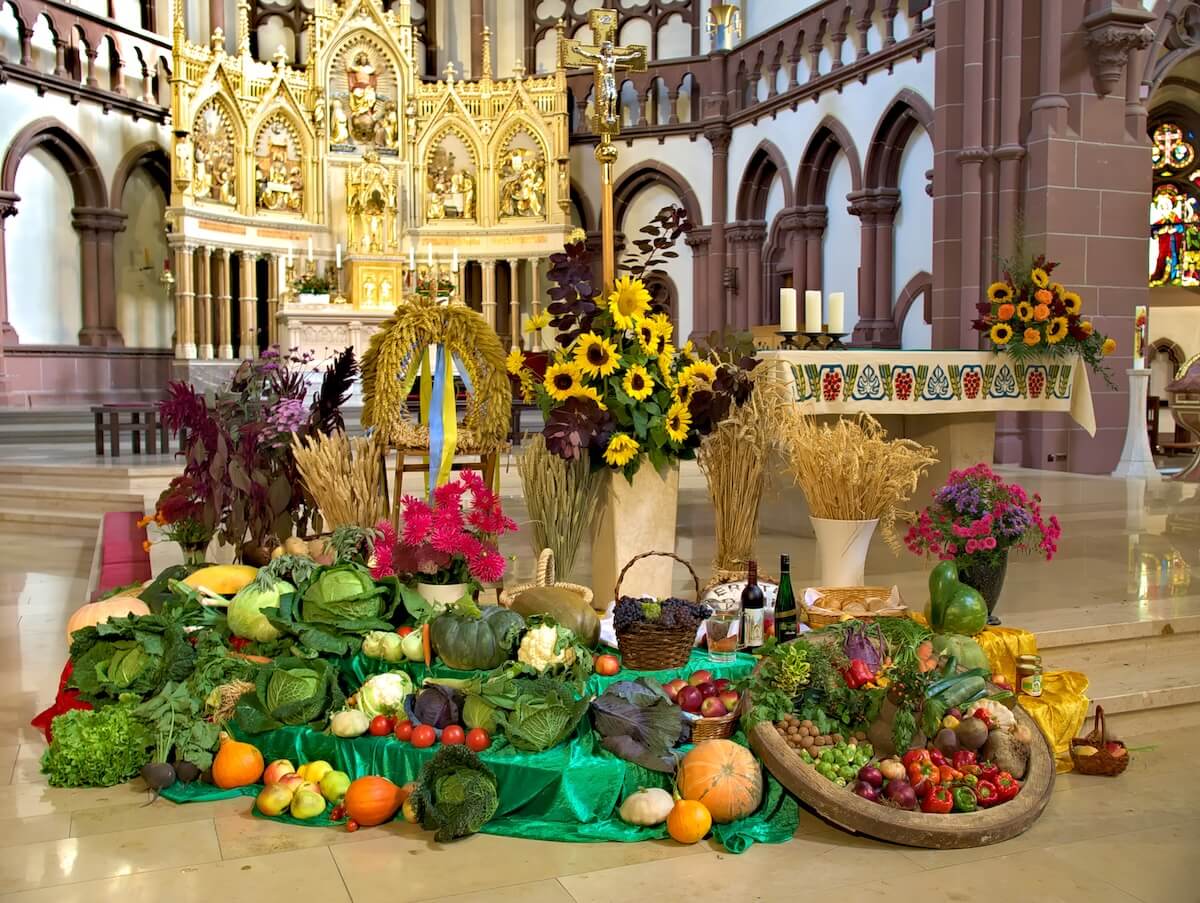 Thanksgiving in Bloom: Flower Traditions from Across the Globe - Petal ...